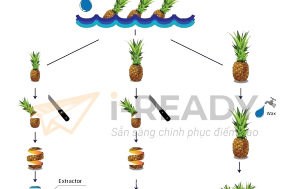 CHỮA ĐỀ THI THẬT BAND 8.0+ IELTS WRITING TASK 2 NGÀY 4/11/2023 - IELTS ...